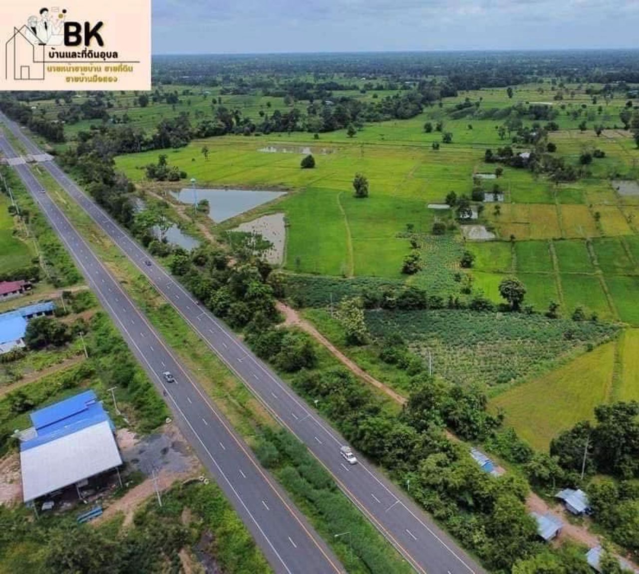 ขายที่ดิน 11 ไร่ ติดถนนเส้นโชคชัย-เดชอุดม | NaYoo