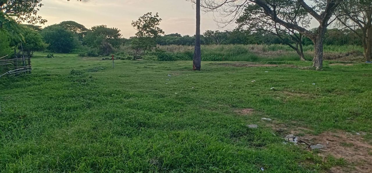 ขายที่ดินทำเลดี แปลงสวย ตัวเมืองขอนแก่น เนื้อที่ 2 ไร่ 1 งาน 80 ตรว | NaYoo